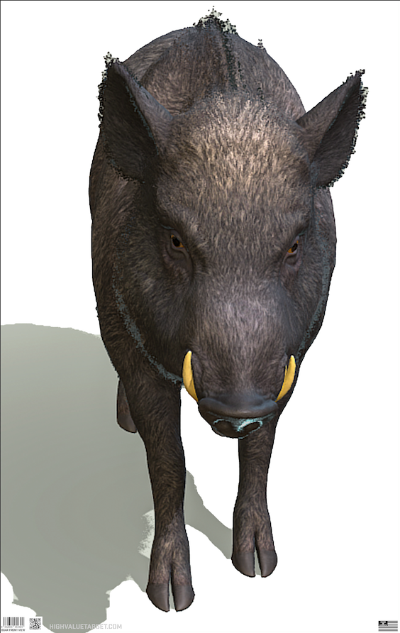 BOAR Front