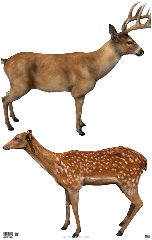 BUCK/ DOE Profile Target